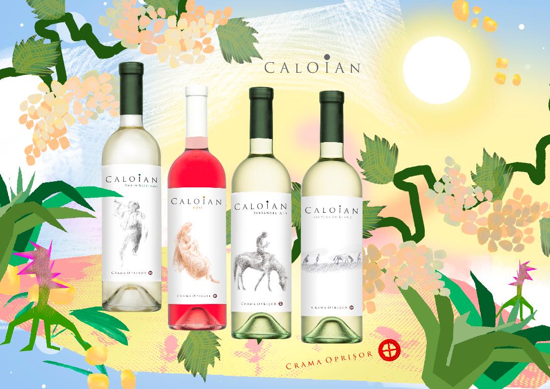 CALOIAN – vinuri autentice de la Oprişor - Magazin Sălăjean