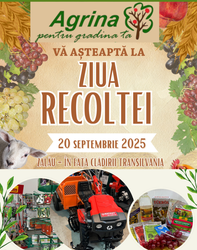 Titularizare 2025: lista posturilor vacante în școlile din Sălaj - Magazin Sălăjean